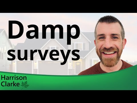 What is a Damp Survey?