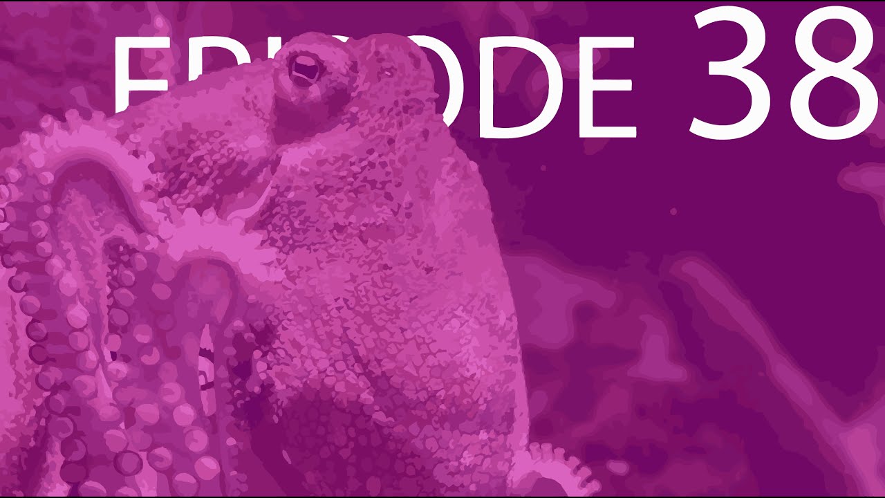 Episode 38 - Behavioral Ecology
