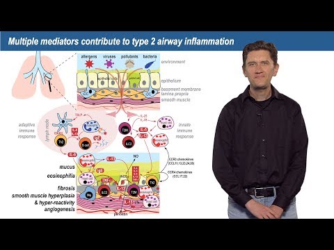 Bench to Bedside: Asthma Heterogeneity, Part 2 - Joseph Arron