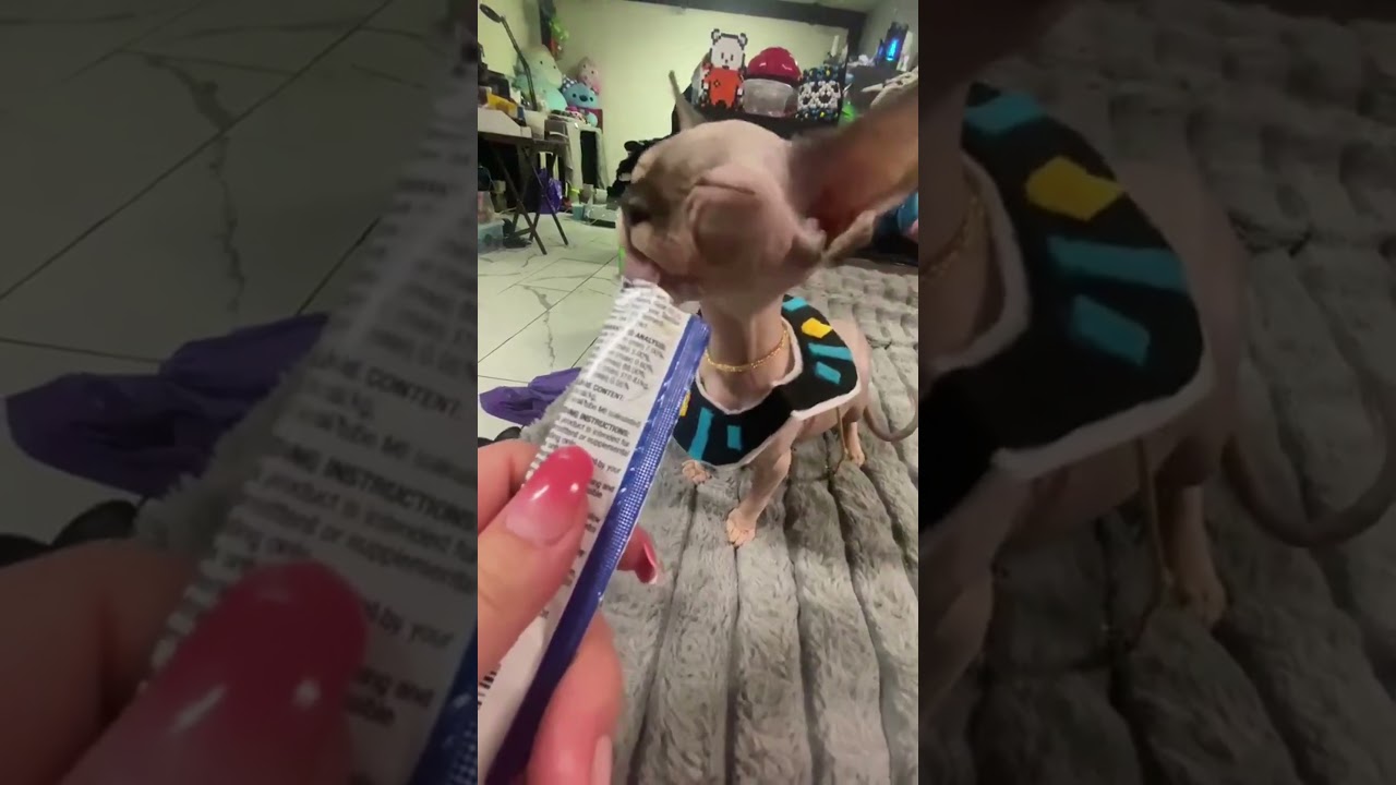 #dragonball memes: 158