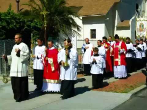 The Spiritual Symbolism of the Palm Sunday Liturgy