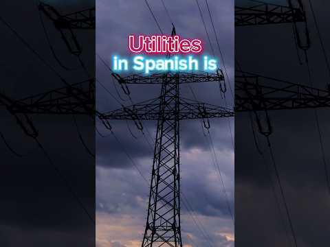 UTILITIES IN SPANISH | Customer Service Consecutive Interpreting