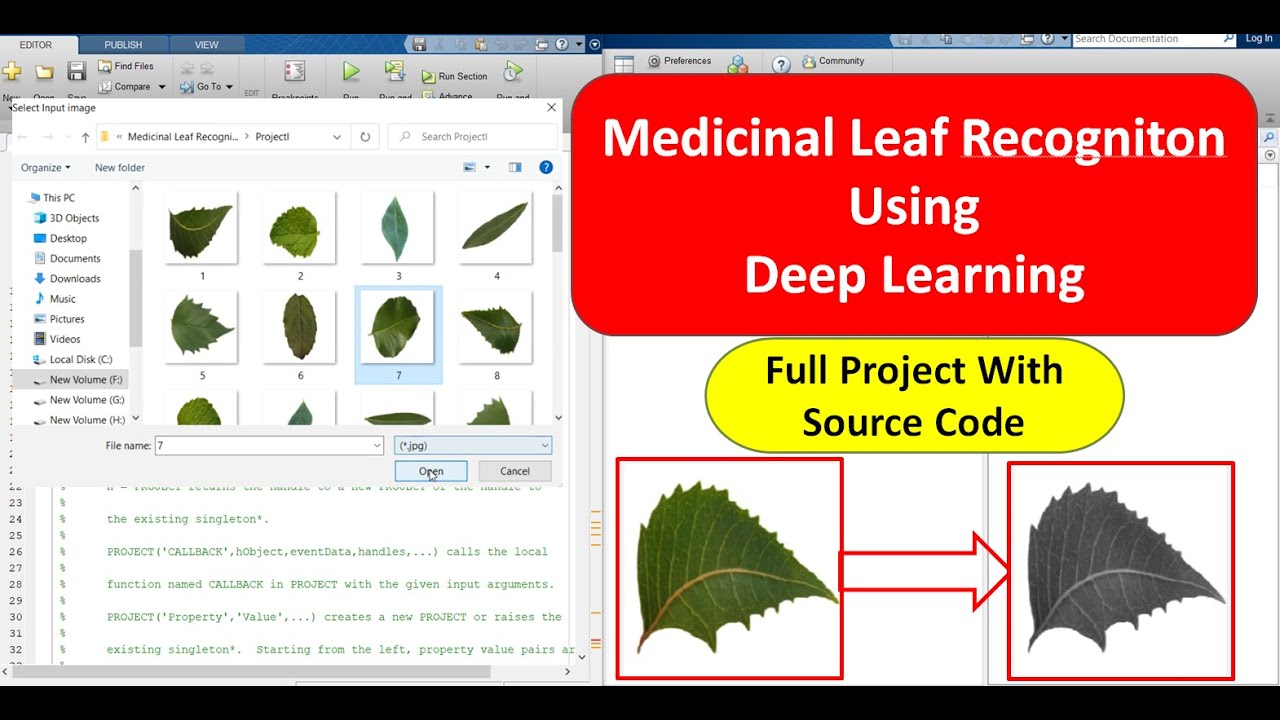 Medicinal Leaf Recognition Using Deep Learning Matlab Code Leaf Classification Image Processing Code