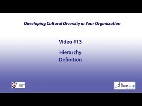 Video 13- Hierarchy: Definition
