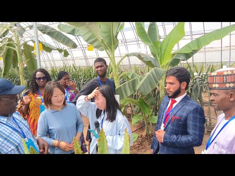China's Shaanxi cooperates with SCO member countries in agriculture