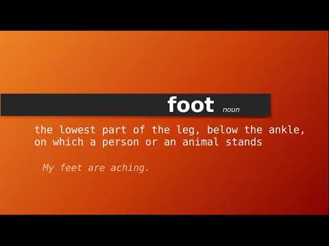 foot , Meaning of foot , Definition of foot , Pronunciation of foot