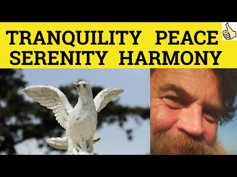 🔵 Peace Harmony Serenity Tranquility - Peaceful Harmonious Serene Tranquil - Meaning and Examples