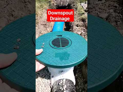 How to Build a Underground Buried Downspout Drain #shorts