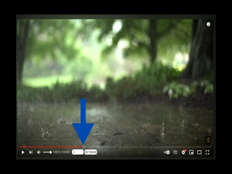 YouTube Volume Control - Chrome Web Store