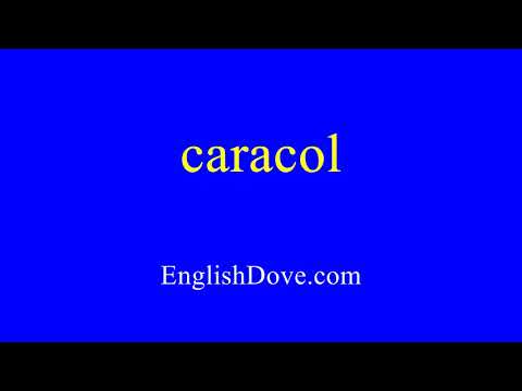 How to pronounce caracol in American English