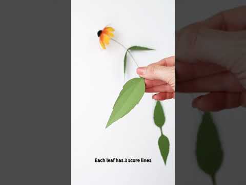 How to Shape Coneflower Leaf | free SVG