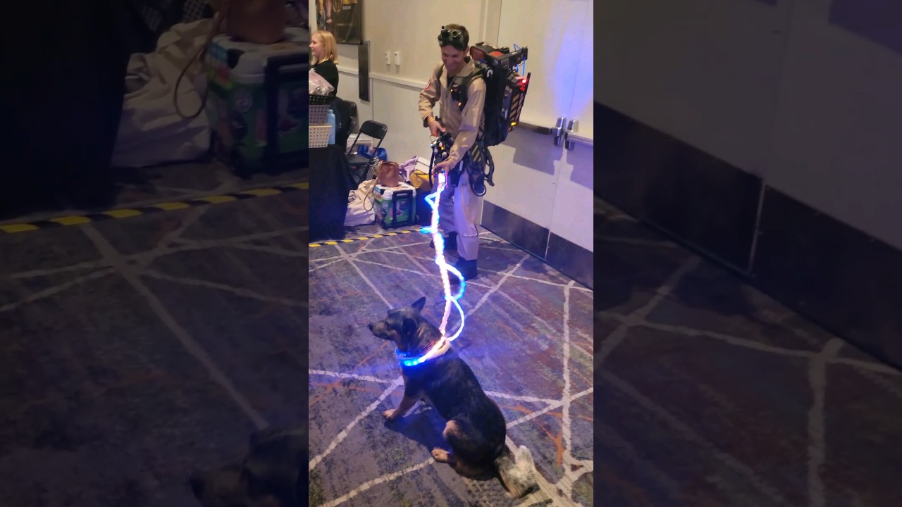 Monsterpalooza #ghostbusters #ghostbusterscosplay #cosplay #protonpack #neutronawand #protonstream