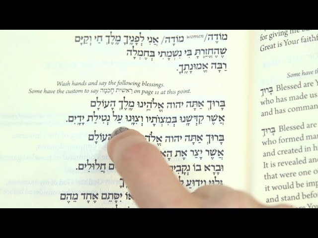 How to Say Netilat Yadayim | My Jewish Learning
