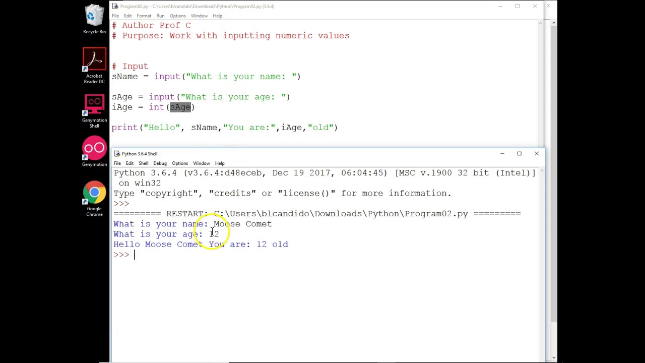 Python work with inputs of string, int and float variables