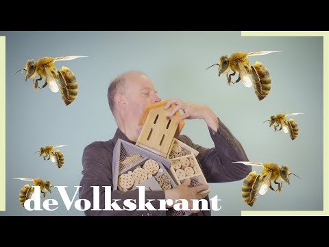 Het bijenhotel is populair, maar werkt het echt? - Klopt dit wel? - de Volkskrant