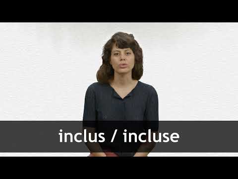 English Translation of “INCLUS” | Collins French-English Dictionary