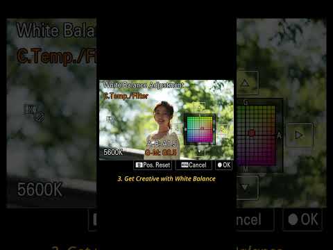 Alpha 7C II | Define Your Style with Customised Creative Look Presets
