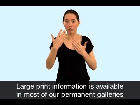 RAMM BSL Video Visual Impairments