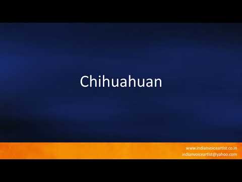 How to pronounce "Chihuahuan".