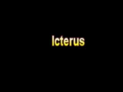 What Is The Definition Of Icterus - Medical Dictionary Free Online Terms