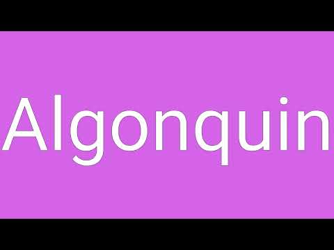Algonquin Definition & Meaning