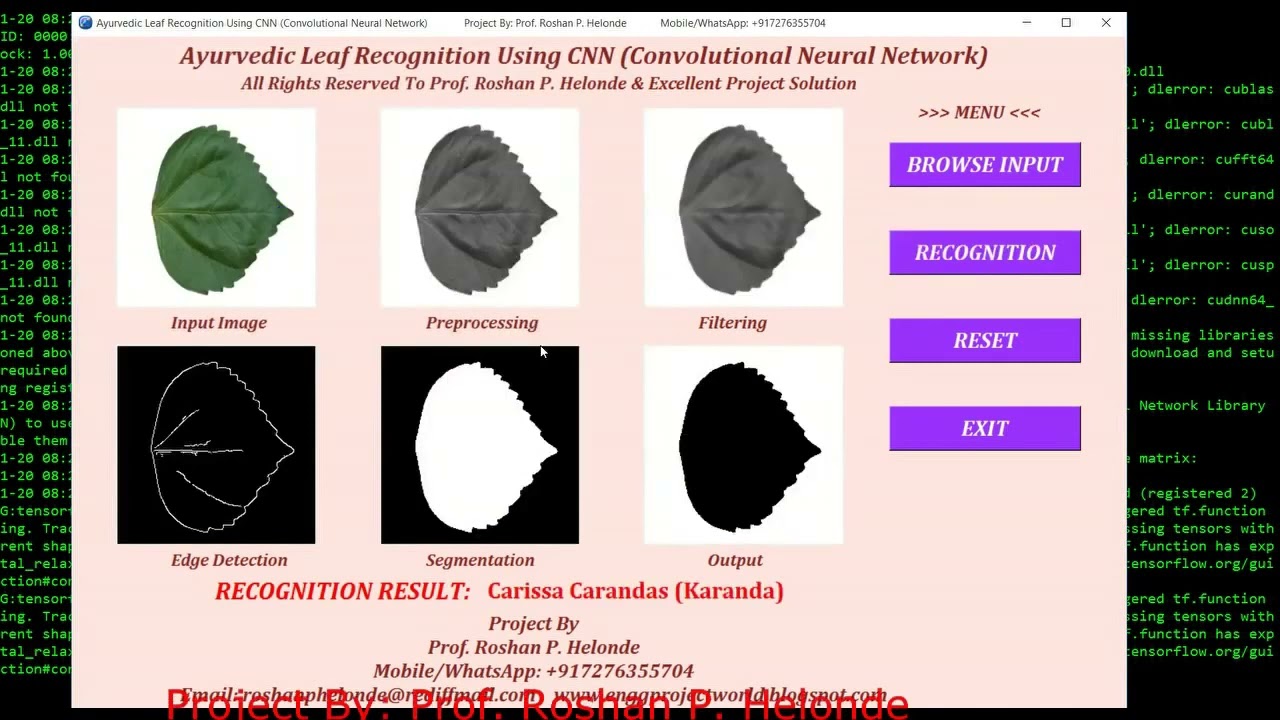 Python Code On Ayurvedic Leaf Recognition Using CNN  Full Python OpenCV Source Code Plant Detector