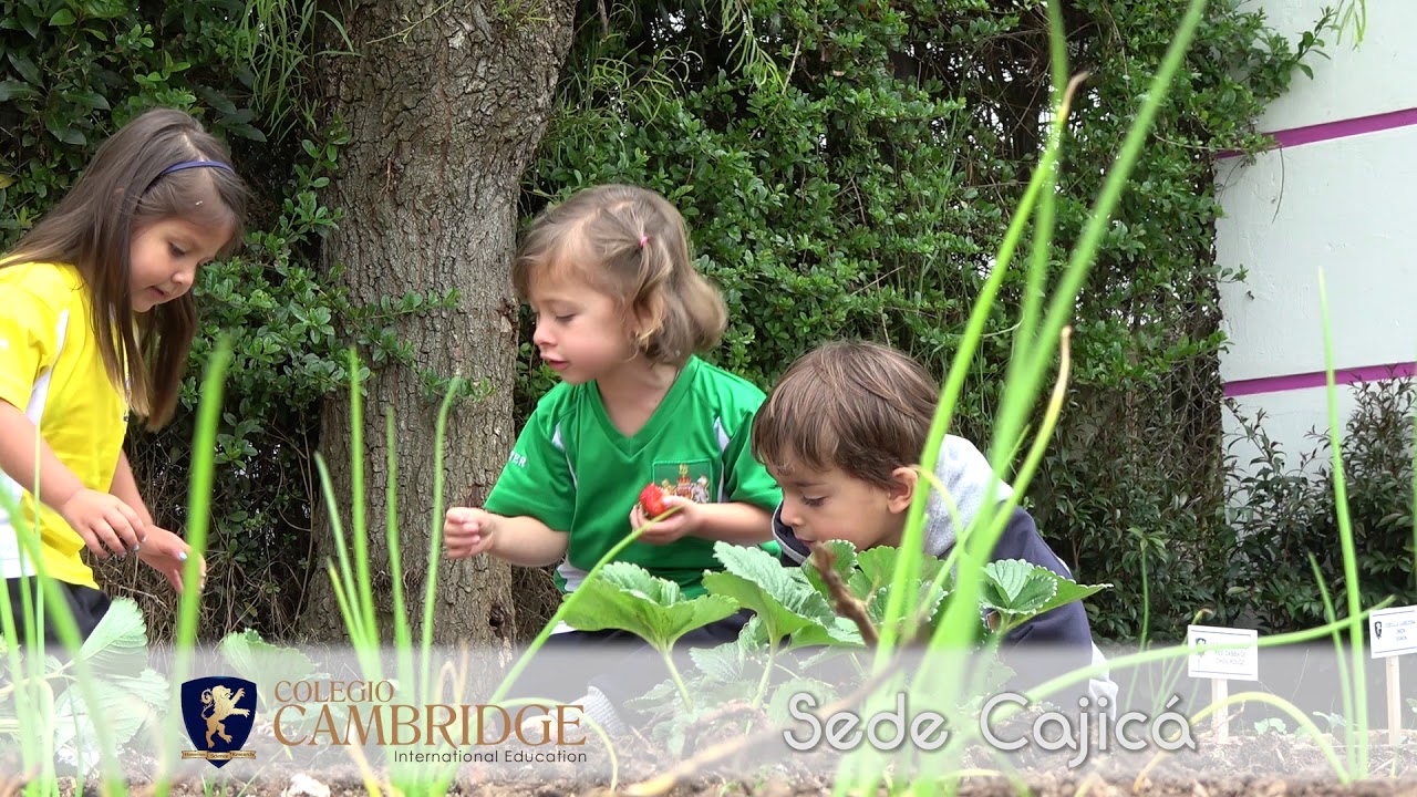 Colegio Cambridge Cajicá