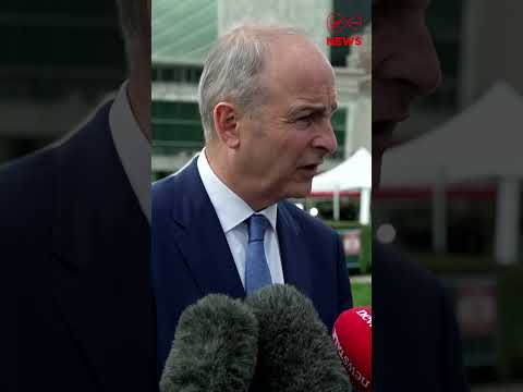Tánaiste Rules Out Referendum on Voting Rights for Irish Citizens Abroad