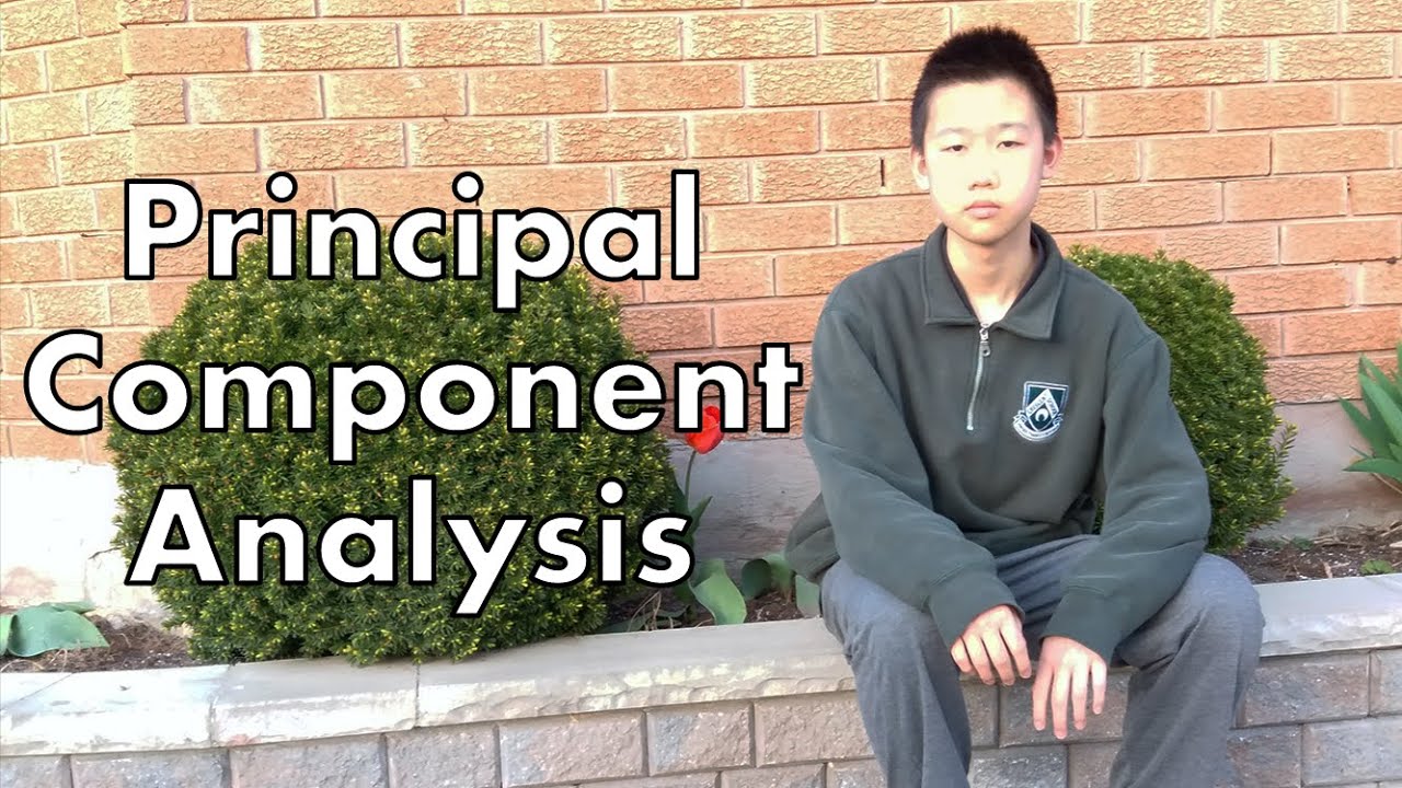 How To Visualize Your 6D Data | Principal Component Analysis