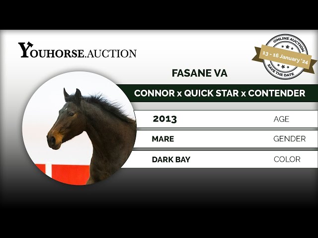 Youhorse.auction | Fasane
