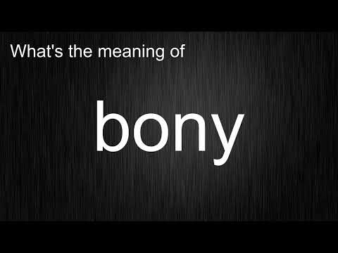 What's the meaning of "bony", How to pronounce bony?