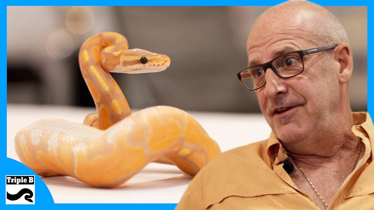 Mark Mandic of Markus Jayne Ball Pythons - Triple B TV Ep.203