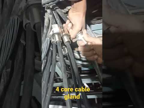 4 core cable gland fitting!