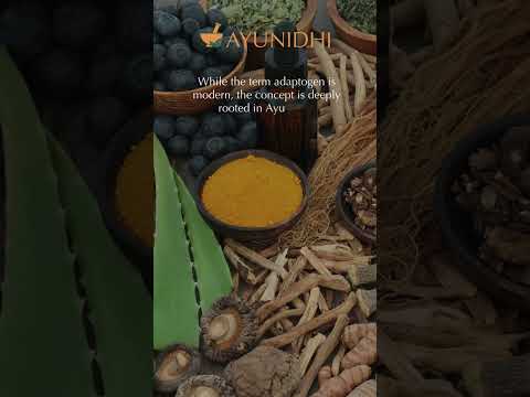 What Are Adaptogens? And Why Do They Matter in Ayurveda?