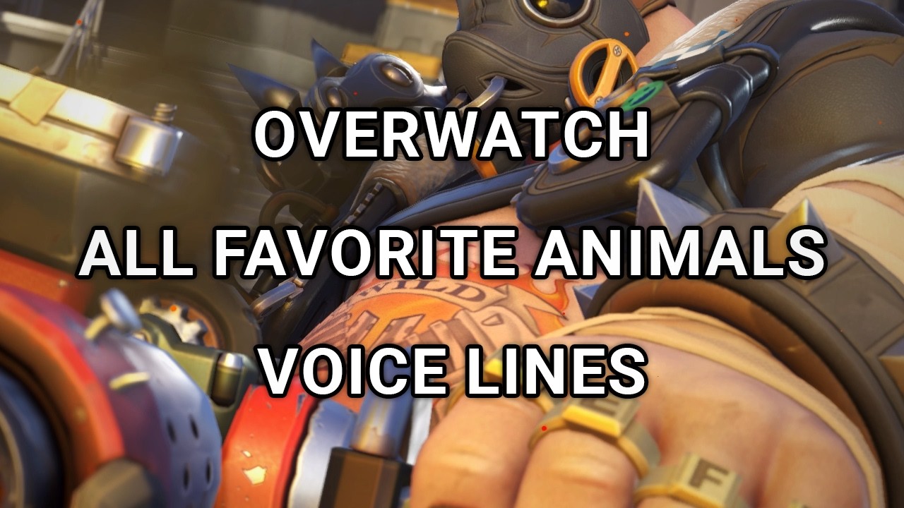 Lúcio asks everybody this... What is your favourite animal? - General ...