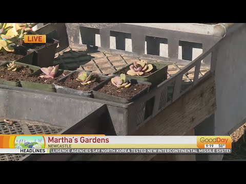 Martha's Gardens