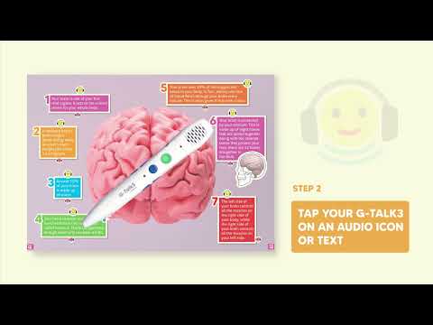 Introducing The Fact Factory