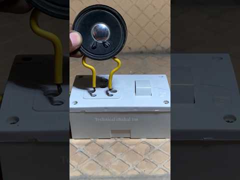 5 watt speaker vs. (220V) Electricity #experiment #shorts