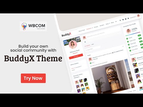 Free BuddyX Theme BuddyPress Nouveau Customizer Options | Best WordPress Social Network Theme