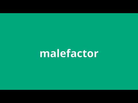 what is the meaning of malefactor
