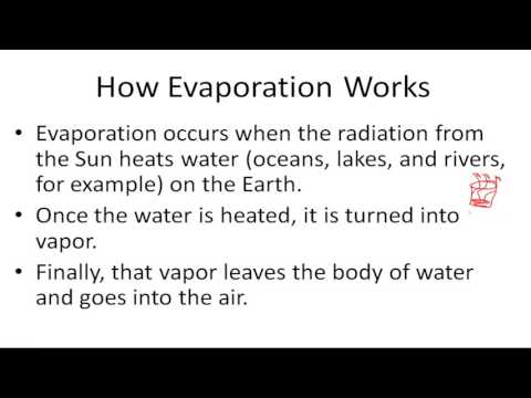 Understanding Evaporation