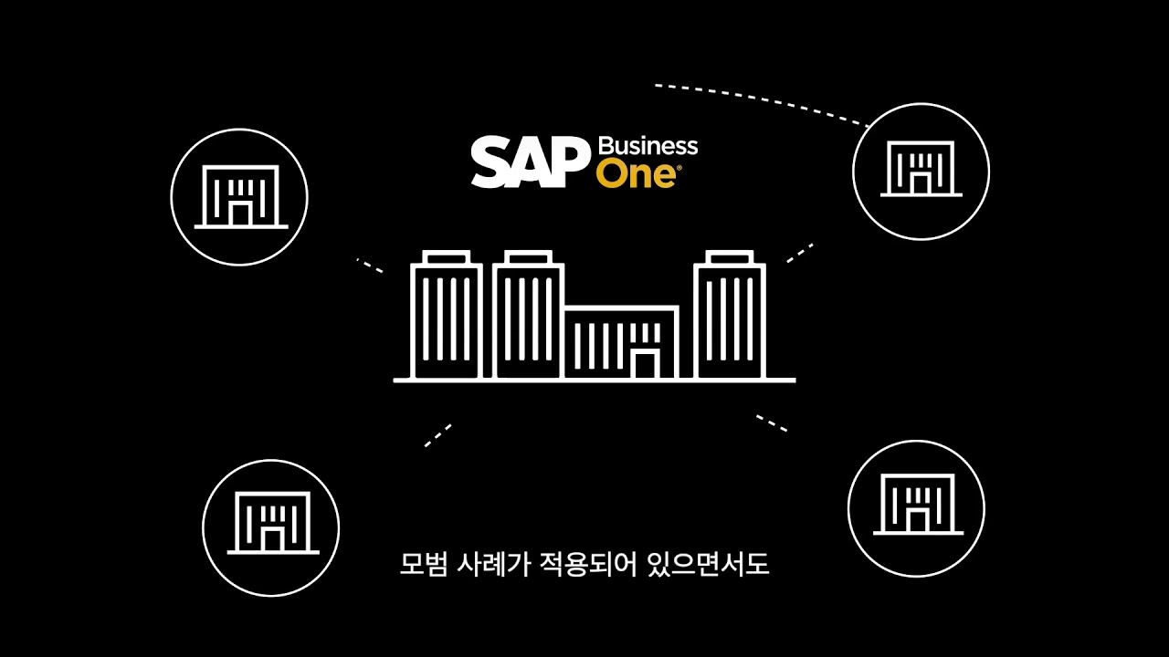 Intercompany Integration Solution for SAP Business One