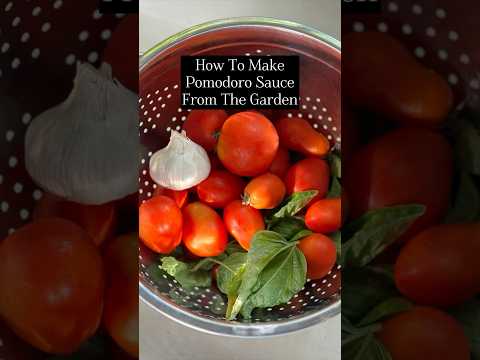 Homemade Simple Pomodoro Sauce