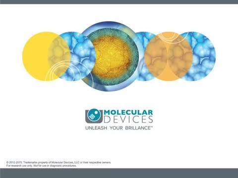 Webinar: From Wells to Westerns - Investigating Cellular Pathways on a Single Platform