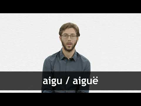 English Translation of “AIGU” | Collins French-English Dictionary