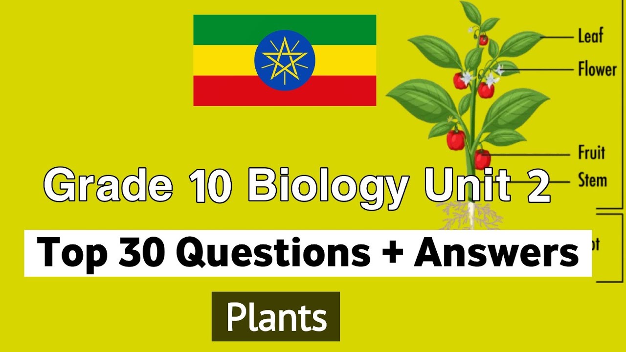 Top 30 Questions from Grade 10 Biology unit 2 Plants :- Questions and answers