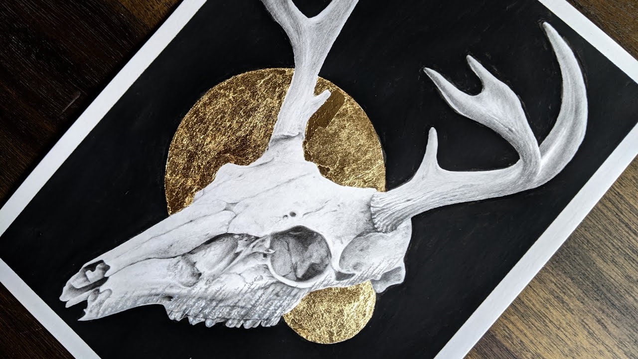 Deer Skull Drawing | timelapse + what inspired me!
