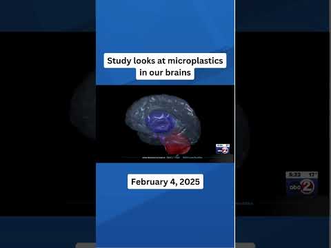 Microplastics in our brains