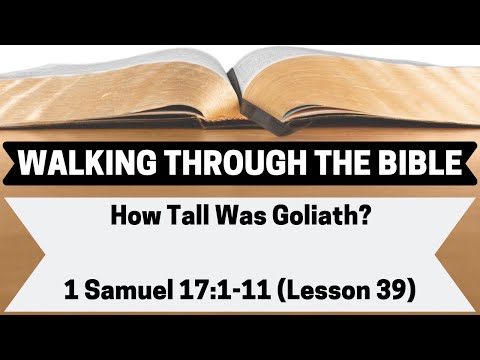 How Tall Was Goliath? | 1 Samuel 17:1-11 | Lesson 39 | WTTB