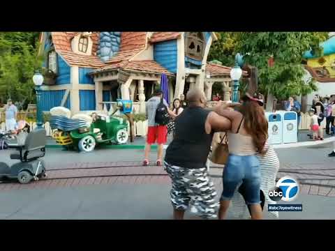 Disneyland melee: 3 charged in caught-on-camera brawl at Disneyland's Toontown I ABC7